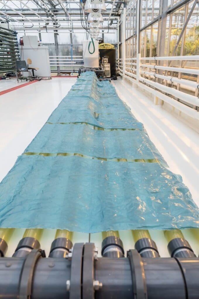 Algenreactor klaar voor ­opschaling naar industriële productie - Fluids ...