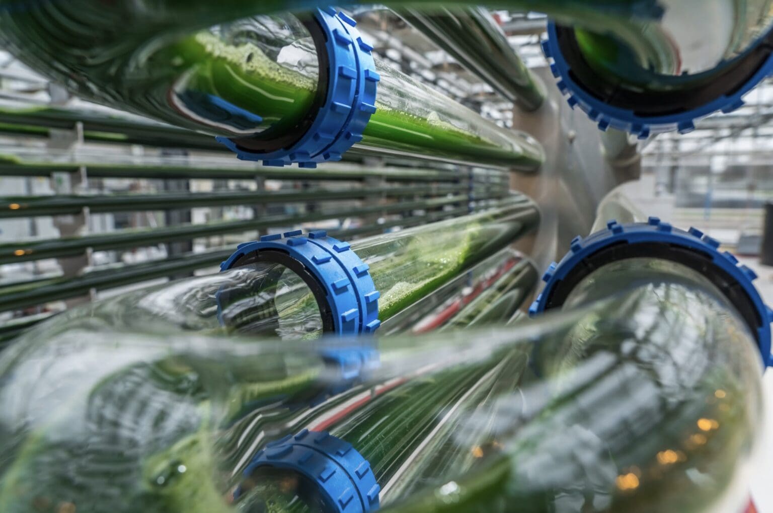 Algenreactor klaar voor ­opschaling naar industriële productie - Fluids Processing